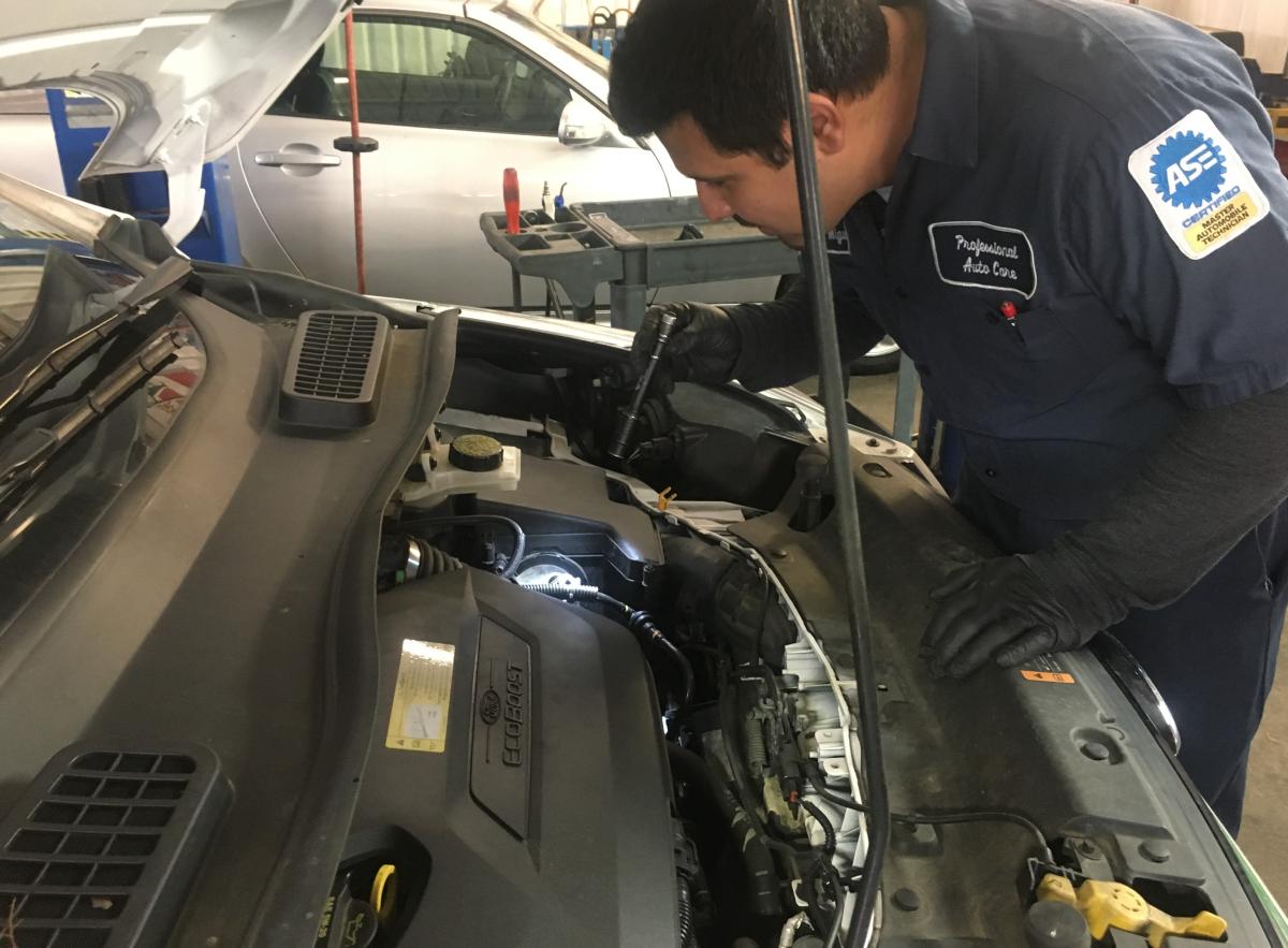 PROFESSIONAL AUTO CARE, Houston, TX