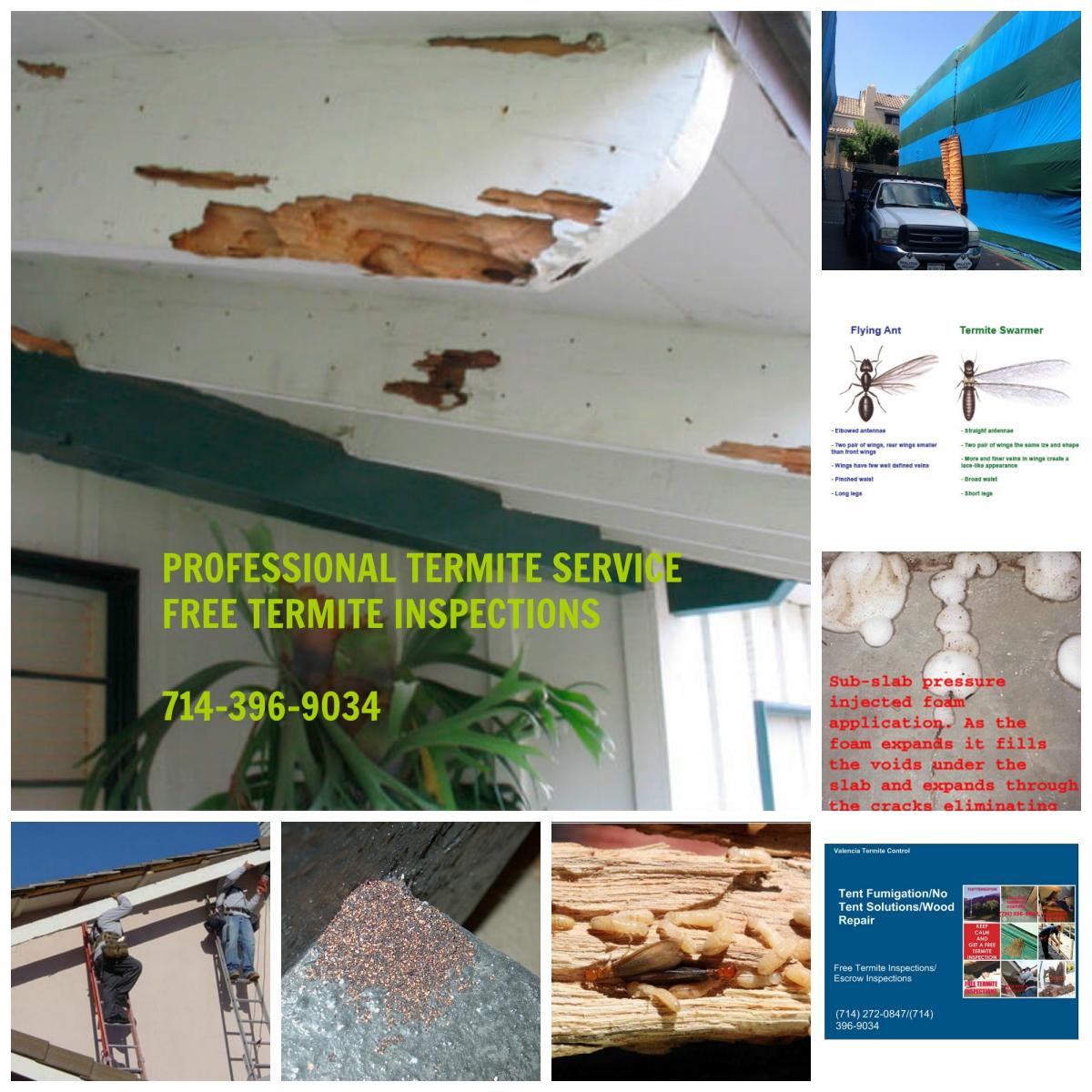 Free Termite Inspection, Anaheim, CA - Cylex Local Search