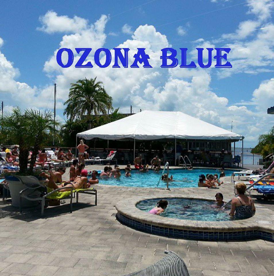 Ozona Blue Grilling Co, Palm Harbor, FL - Cylex Local Search