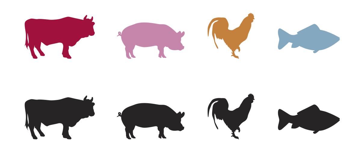 Bonz Seasonings | Herbs & Spices, Naples, FL