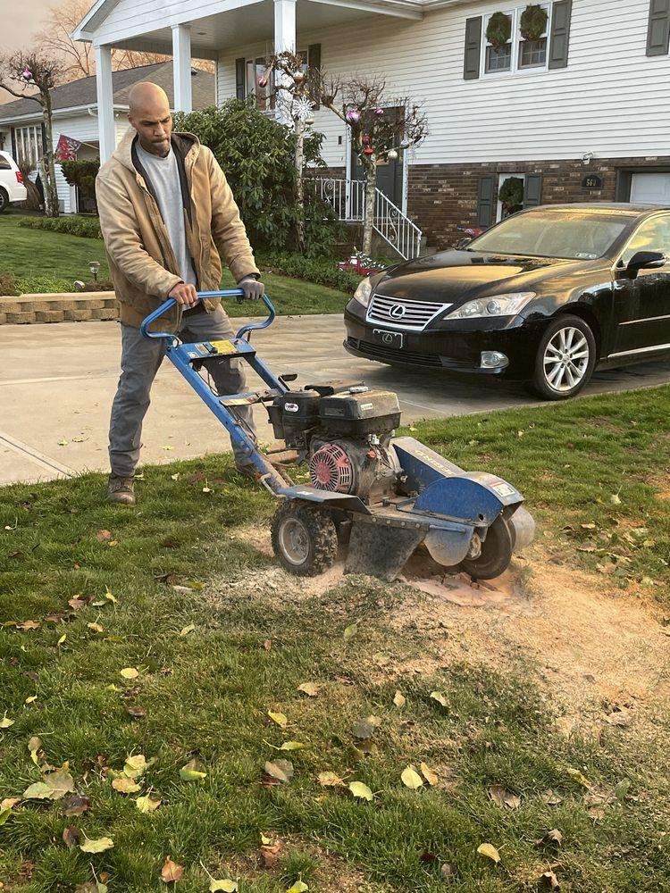 Emporyum LLC | Tree Service, Scranton, PA