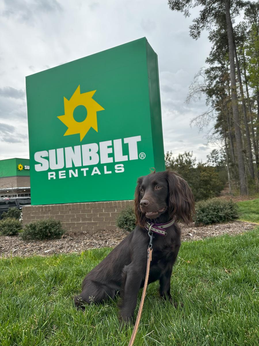 Sunbelt Rentals Locations - Cylex Branch Locator